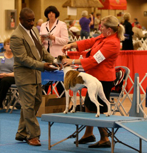 EWhippetzine ~ Lone Star Whippet Club 2009